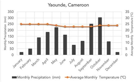 Tropical Rainforest Climate Diagram