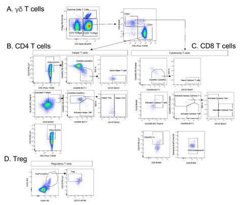 Large Panel Design To Identify Human And Mouse Lymphocyte Subsets Using