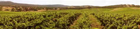 Australia Pyren Vineyard Bbwines