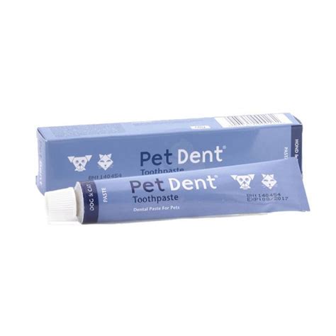 Dent Paste Little Companions