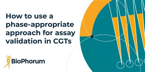 Sandra Hon On Linkedin Phase Appropriate Approach To Assay Validation