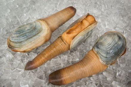 Bc Seafood Stands Out At Seafood Trade Expo Trade And Invest Bc