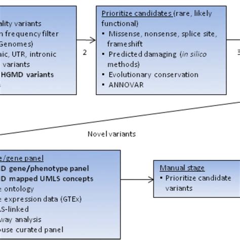 Example Of An NGS Diagnostic Workflow Download Scientific Diagram