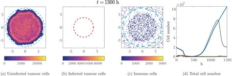 Figure From A Hybrid Discrete Continuum Modelling Approach For The Interactions Of The Immune