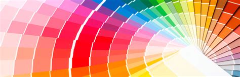 Paleta De Cores O Que é Como Funciona E Como Combinar As Cores No Seu