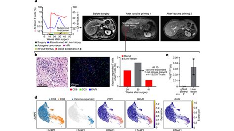 Nature Portfolio On Twitter A Personalized Mrna Vaccine Induces A