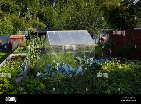 View Into An Allotment Garden With A Glass House And Several Vegetables
