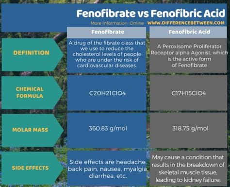 Difference Between Fenofibrate And Fenofibric Acid Compare The Difference Between Similar Terms