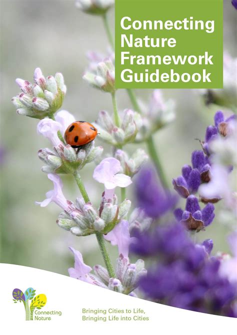 Connecting Nature Framework Connecting Nature