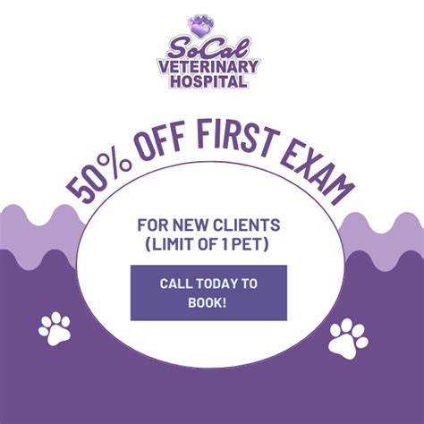 Best Vet Hospital In San Marcos Ca Socal Vet Hospital