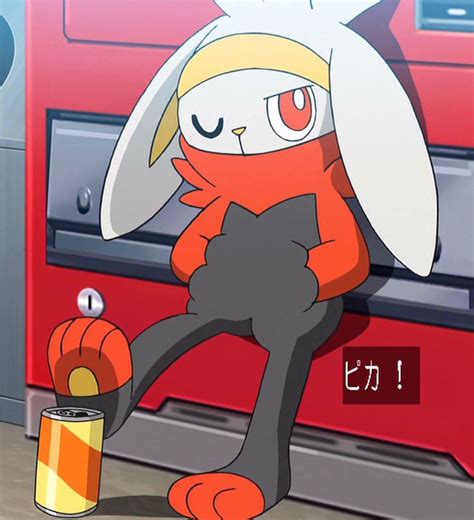Raboot Anipoke Pokemon Anime Generation 8 Galar Starter Pokemon Cute