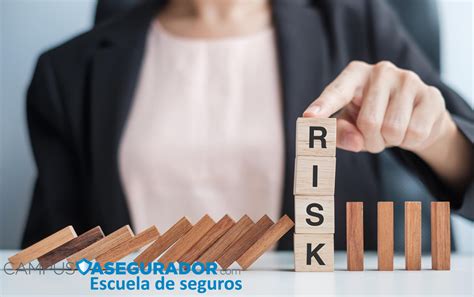 La Gerencia De Riesgos En Seguros Campus Asegurador