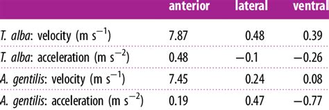 Glide Velocity And Acceleration For Reconstructed Geometries