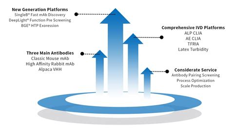 Ivd Kit Development Singleb® Mab Discovery Detaibio