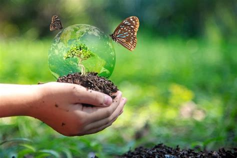 El Vínculo Vital Entre La Biodiversidad Y La Salud Del Suelo