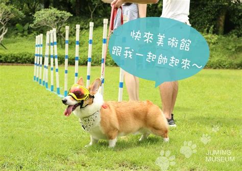 朱銘美術館「毛起來」 愛犬主人免費入園送專屬「鐵飯碗」 Ettoday寵物雲 Ettoday新聞雲