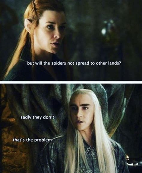 Pin By Vereszki Anna On LOTR HOBBIT The Hobbit Lotr Funny Lord Of