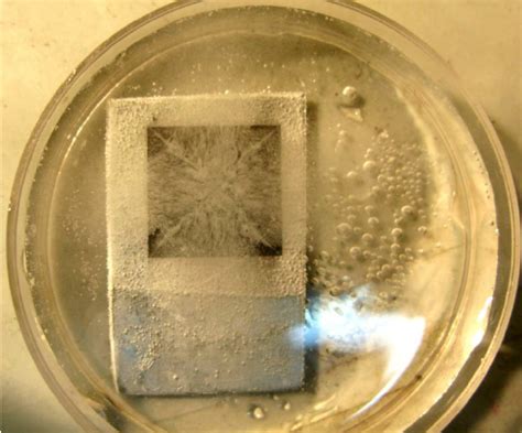 Stationary Pattern Of Gas Bubbles Over The Square Shaped Laser Treated Download Scientific