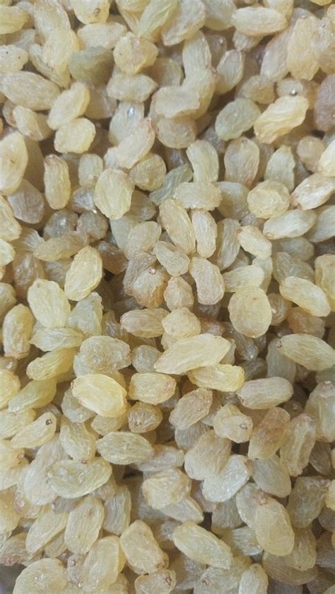 Loose Fresh Golden Kishmish At Rs 360 Kg In Mumbai Id 24916587155
