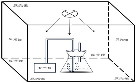 一种激光培养藻类的方法
