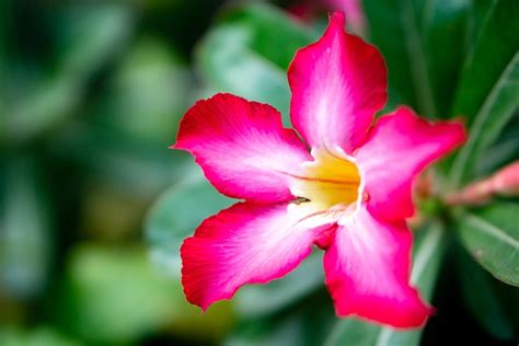 Demmy Blaze Pornhub 09 12 2024