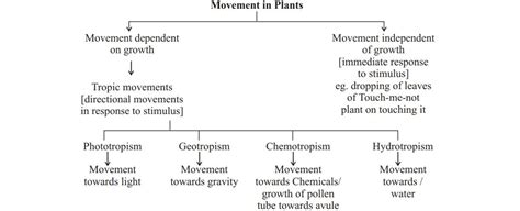 CBSE Class Science Short Notes For Chapter Control And Coordination Based On