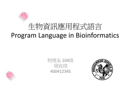 ppt 生物資訊應用程式 語言 program language in bioinformatics powerpoint