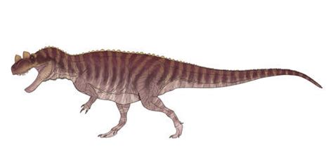 Explore The Best Ceratosaur Art Deviantart