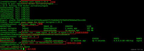 认识docker LNMP架构 CSDN博客