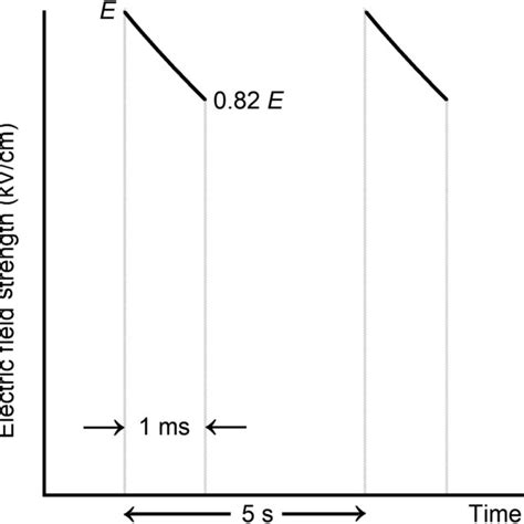 The Pulsed Electric Field With Exponential Decay Waveform The Time