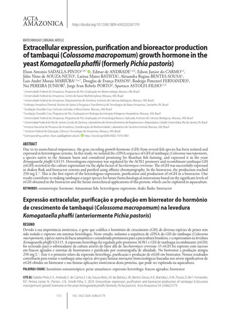 Extracellular Expression Pdf Plasmid Protein Purification