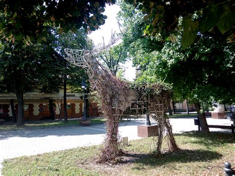 Zdrava Srbija Apatin I Banja JunakoviĆ Mariniranje