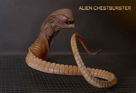 Chestburster