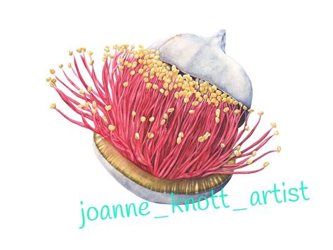 Joanne Knott Home Facebook