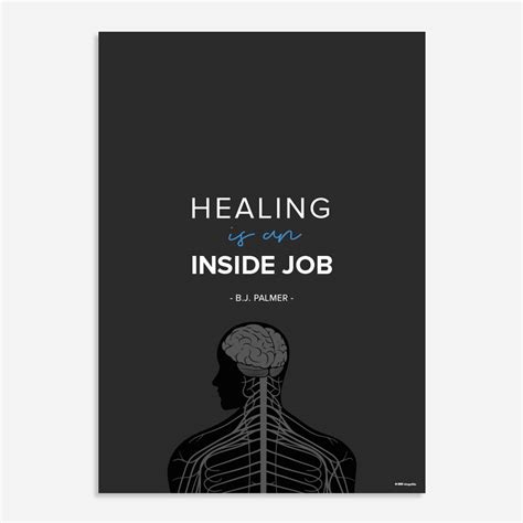Spinal Nerve Chart Poster By Kirografiks