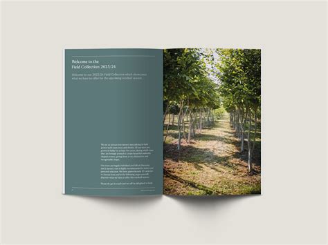 New Wood Trees Soka Studio