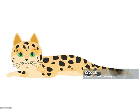 귀여운 만화 키티 또는 고양이 와 컬러 모피 벡터 일러스트 개체 그룹에 대한 스톡 벡터 아트 및 기타 이미지 개체 그룹 거북무늬고양이 검은색 Istock