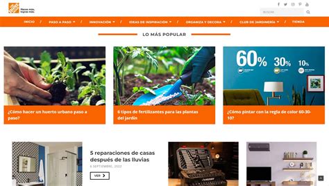 Examen Tipos De Blog