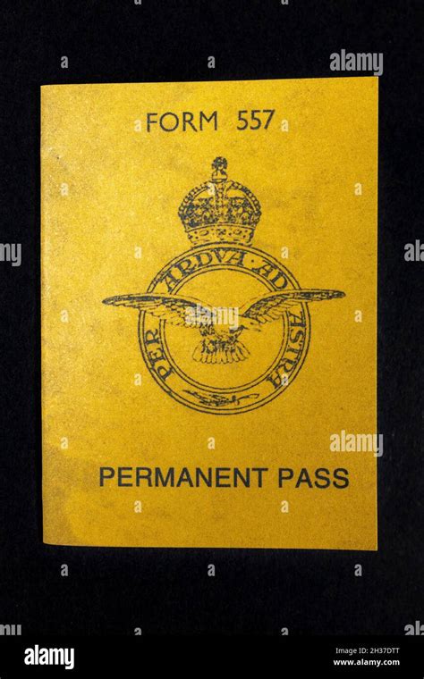Replica Raf Permanent Pass Form 557 From A Raf Related Memorabilia