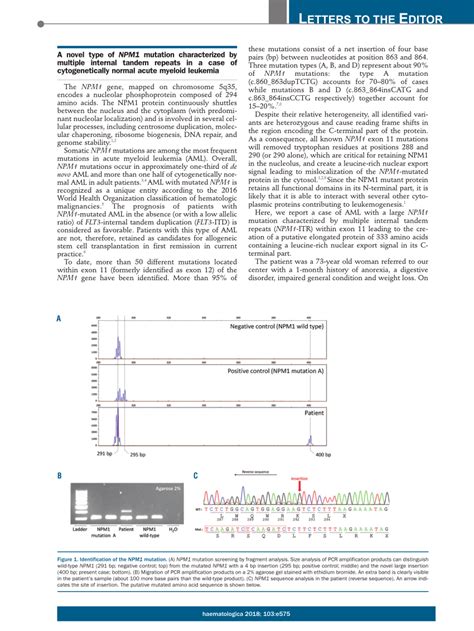Pdf A Novel Type Of Npm1 Mutation Characterized By Multiple Internal