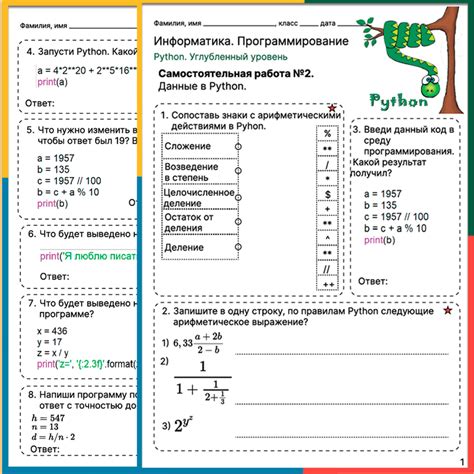 Python Углублённый уровень Самостоятельная работа №2 Данные