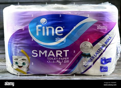 Cairo Egypt October 1 2023 Fine Smart Toilet Paper Rolls Toilet