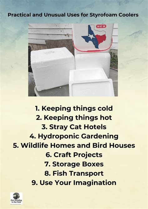 Practical And Unusual Uses For Styrofoam Coolers Out Standing In The