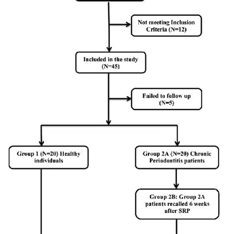 Collection Of Gingival Crevicular Fluid Gcf Using A Calibrated