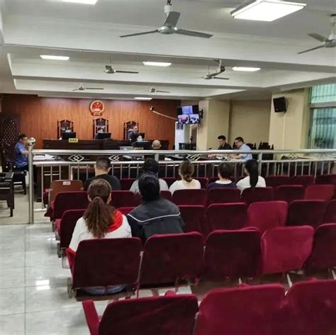 涡阳首例涉养老诈骗犯罪案件公开审理被告人方式被害人