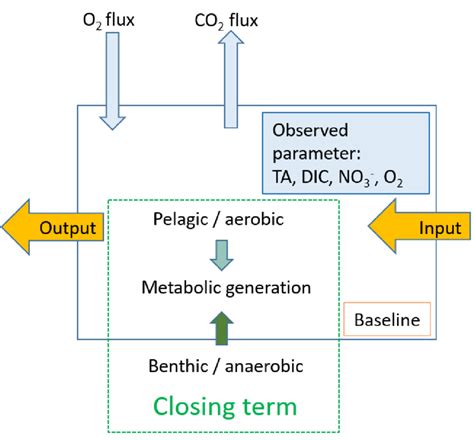 Schematic Mass Balance Approach We Used A Box Model To Balance The Net