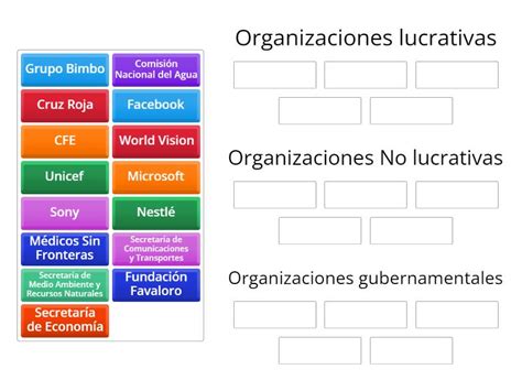 Clasificación De Los Tipos De Organizaciones Ordenar Por Grupo