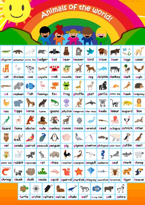 100 Animal Flashcards Animals Alphabet Poster Animal Phonics B5a