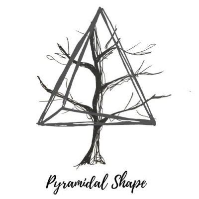 How To Prune Apple Trees In Easy Steps Mehrabyan Nursery