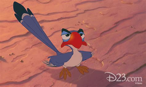 Disney Cartoon Birds